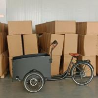 China Versatile Electric Cargo Bike with Spacious Transport Box for sale