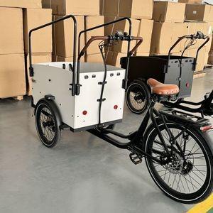 China Spacious Electric Bakfiets for Family Adventures and Fun for sale