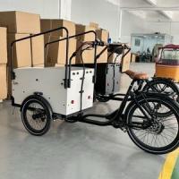 China High-Performance Electric Cargo Bike with 250W Brushless Motor for sale