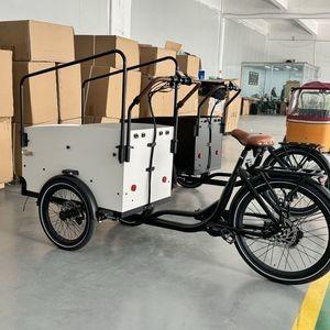China High-Performance Electric Cargo Bike with 250W Brushless Motor for sale