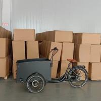 China Ultimate Electric Bakfiets for Urban and Rural Exploration for sale