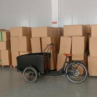 China Family-Friendly Electric Cargobike Bakfiet with Room for Children and Groceries for sale