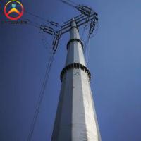 China 220kv Monopole Tower Electric Equipment for Electricity for sale