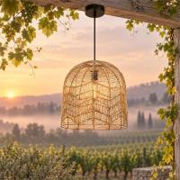 China Low Voltage Garden Pendant Light with Geometric Open-Weave Dome Shade and Sculptural Design for sale
