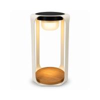 China Open Frame Solar Garden Table Lamp with Mini Planter Display and IP65+ Protection Solar Table Light for sale