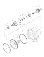 China 245772 RING;PISTON Doosan parts for sale
