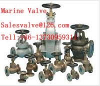 China CHINA MARINE VALVE SUPPLIER FLANGE VALVE for sale