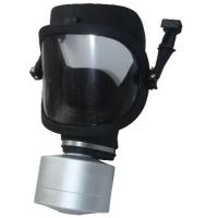 China ABS Firefighter Rescue Equipment Plastic Filter Defence Military Gas Mask for sale