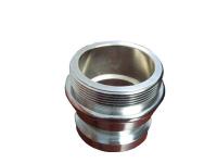 China Brass Chromed Fire Coupling BS Male Instantaneous*Male Screw Thread Adaptor for sale