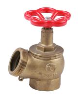 China ISO Fire Coupling Brass fire hydrant 2