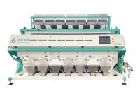 China CE Walnut Coffee Bean Sorting Machine 6 Channels CCD Color Sorter for sale