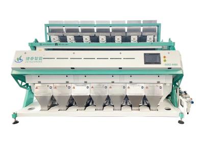 China CE Walnut Coffee Bean Sorting Machine 6 Channels CCD Color Sorter for sale