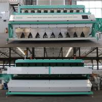 China CCD 10 Chute Optical Color Sorter Machine 640 Channels for Cereals Nuts Beans 15-30 T/H for sale