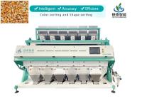 China Vibrated 6 Chutes Corn Color Sorter Cashew Colour Sorting Machine for sale