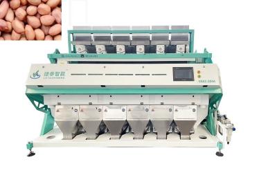 China OEM 6 Chutes 384 Channels Peanut Color Sorter Machine 220V 3.5KW for Cashew Nut Sorting for sale
