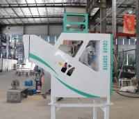 China CCD 1 Chute Grain Color Sorter Machine 260kg for Food Sorting with 99.99% Accuracy for sale