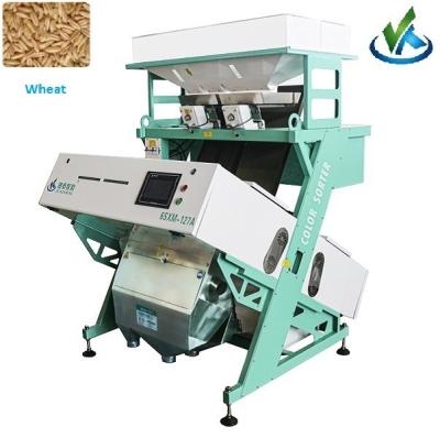 China Mini Optical Cereals Coffee Bean Sorter Color Sorting Equipment High Accuracy for sale