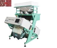 China Automatic Optical Peanut Sorter Cashew Nut Size Sorting Machine 99.99% Accuracy 1.6-3.0 T/H for sale