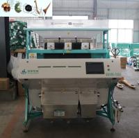 China Multi core CCD 3 Chute Color Sorter For Red Pepper Garlic for sale
