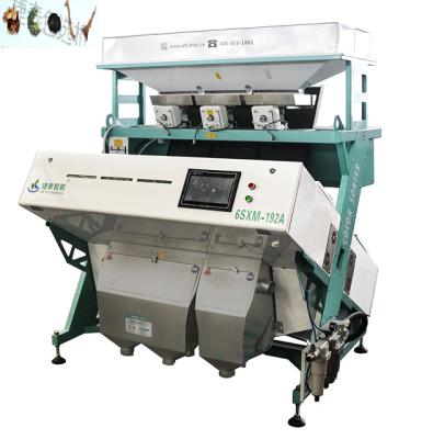 China Multi core CCD 3 Chute Color Sorter For Red Pepper Garlic for sale