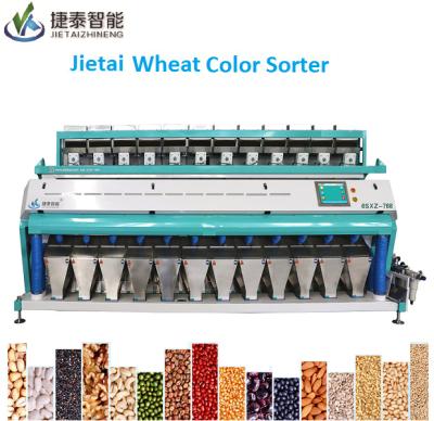 China Optical Pistachio Wheat Color Sorter Machine 768 Channels 11-19 T/H Capacity for sale