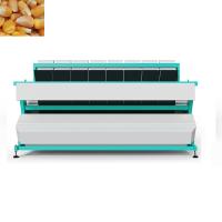 China Full Automatic CCD 8 Chutes Corn Sorting Machine 6SXZ-512A 6-12 T/H for sale