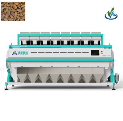 China Cereals Grain Colour Sorting Machine 99.99% Accuracy 6.0-12.0 T/H for sale