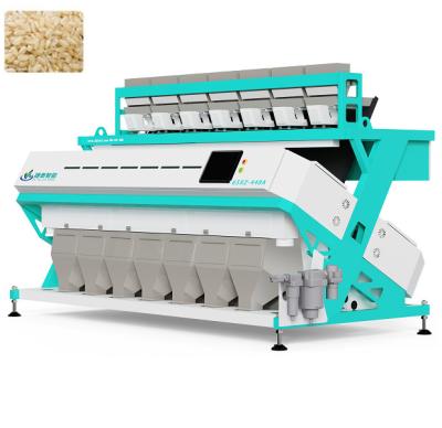 China Intelligent Rice Color Sorting Machine 448 Channels 5-7 TPH High Accuracy 99.99% for sale