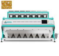 China Grain Cereal Color Separator Machine 448 Channels 11-21 T/H for Corn Processing for sale