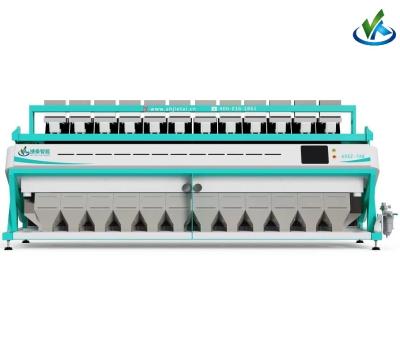 China Multi-Use Grain Color Sorter for Wheat Soybean Rice 11-19 T/H Capacity 99.99% Accuracy for sale