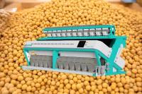 China Jietai 6SXZ-768 Soybean Color Sorter 99.99% Accuracy 11-19 T/H Capacity for sale