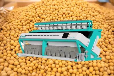 China Jietai 6SXZ-768 Soybean Color Sorter 99.99% Accuracy 11-19 T/H Capacity for sale