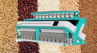 China High Output Intelligent Rice Beans Color Sorter Machine 11.0-19.0 T/H 768 Channels for sale
