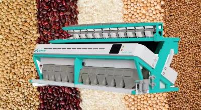 China High Output Intelligent Rice Beans Color Sorter Machine 11.0-19.0 T/H 768 Channels for sale