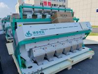 China 6SXZ-384A Grain Color Sorter Machine 4-8 T/H 6/384 Chutes 99.99% Accuracy for sale