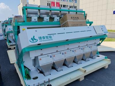 China 6SXZ-384A Grain Color Sorter Machine 4-8 T/H 6/384 Chutes 99.99% Accuracy for sale