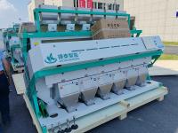 China 6/384 Channels 4-8 T/H Grain Color Sorter Machine 99.99% Accuracy 220V 50Hz for sale