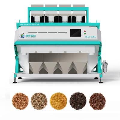 China 4 Chutes 256 Channel Rice Sorter Machine For Processing Rice High Efficiency for sale