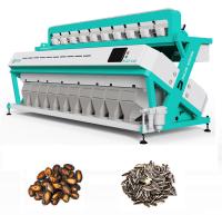 China High Capacity Seeds Color Sorter Machine Sunflower Seeds Processing Machine for sale