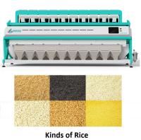 China Automatic CCD Intelligent Digital Rice Color Sorter Machine With 10 Chutes for sale
