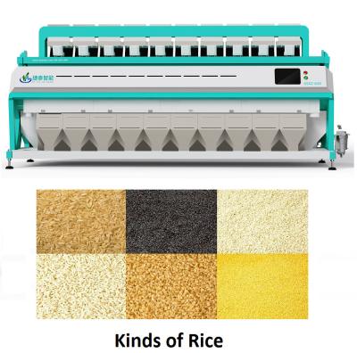 China Automatic CCD Intelligent Digital Rice Color Sorter Machine With 10 Chutes for sale