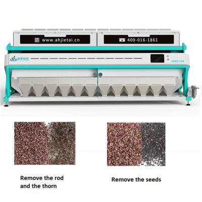 China Large Scale Intelligent Pepper Color Sorter 11.0-19.0 T/H High Accuracy 99.99% for sale