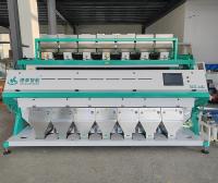 China RGB Corn Peanut Rice Buckwheat Sorting Machine High Capacity for sale