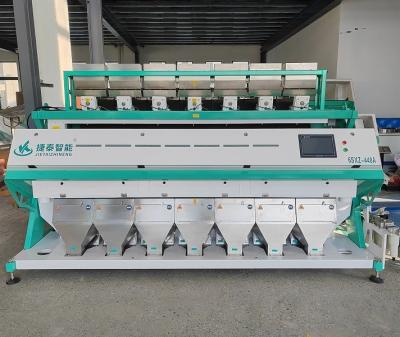 China RGB Corn Peanut Rice Buckwheat Sorting Machine High Capacity for sale
