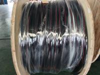 China 600V CVT Cable 38mm2 60mm2 100mm2 Triplex Cross-Linked Polyethylene Insulation Vinyl Sheath CVD CVQ CVT Cable for sale