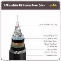 China Distribution Lines Armoured Electrical Cable , Aluminium Armored Cable for sale