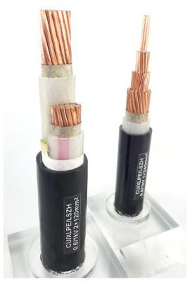 China 70 Sq mm Concentric Conductor XLPE Insulated Power Cable Eco Friendly YJV N2XCY for sale