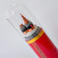 China Cross Section Area 1.5 to 800 Sqmm XLPE Insulated Electric Wire Outdoor Direct Burial Type Designed for Power Delivery and Corrosion Resistance for sale