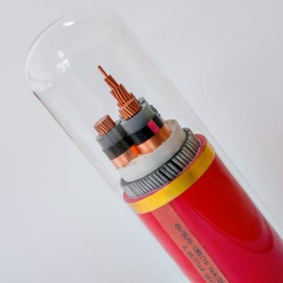 China Cross Section Area 1.5 to 800 Sqmm XLPE Insulated Electric Wire Outdoor Direct Burial Type Designed for Power Delivery and Corrosion Resistance for sale