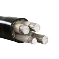 China XLPE Insulated Cable Circular Conductor Shape Cross-linked Polyethylene XLPE 500-1000 Meter Per Drum for Your Requirements for sale